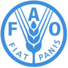 Home | Daffodil Computers PLC.